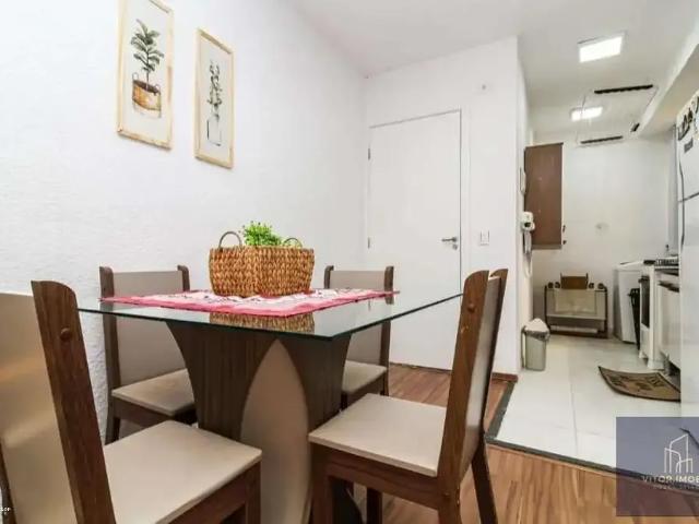 Apartamento para Venda em São Paulo/SP Núcleo Lageado 2 Quartos
