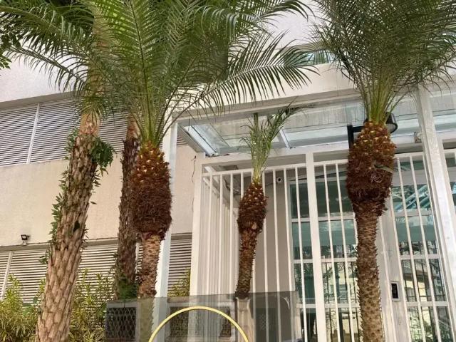 Apartamento para Venda em São Paulo/SP Aclimação 3 Quartos