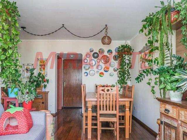 Apartamento para Venda em São Paulo/SP Água Fria 3 Quartos