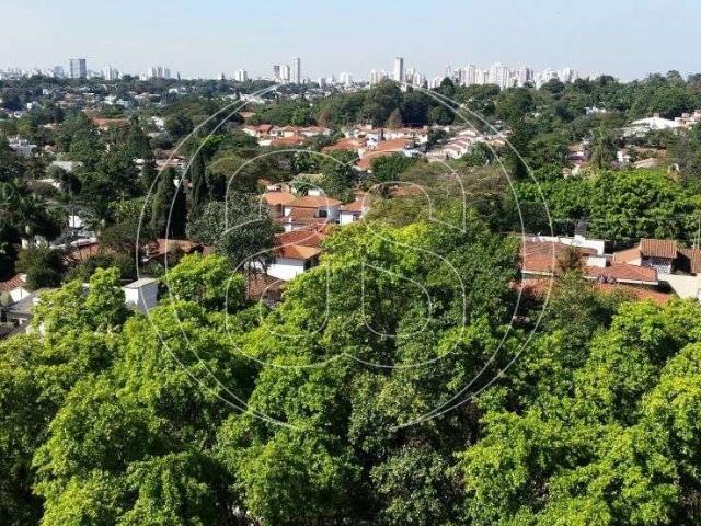 Apartamento para Venda em São Paulo/SP Alto da Boa Vista 3 Quartos