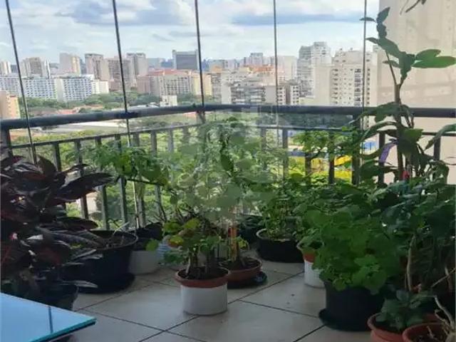 Apartamento para Venda em São Paulo/SP Alto da Lapa 3 Quartos
