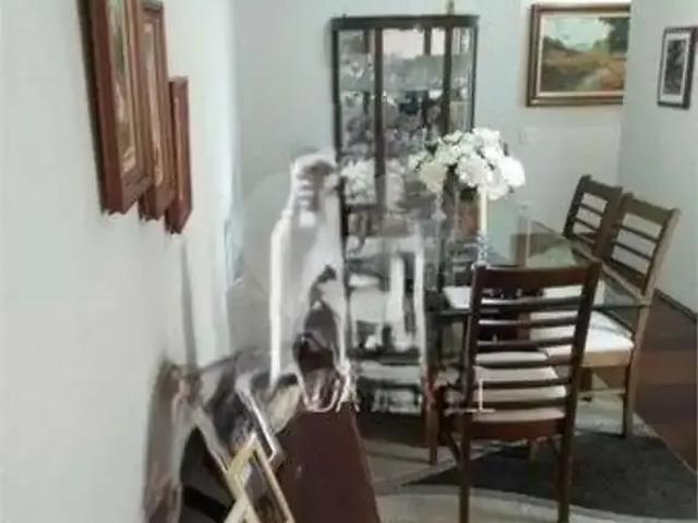 Apartamento para Venda em São Paulo/SP Butantã 3 Quartos