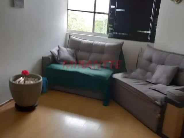 Apartamento para Venda em São Paulo/SP Butantã 3 Quartos