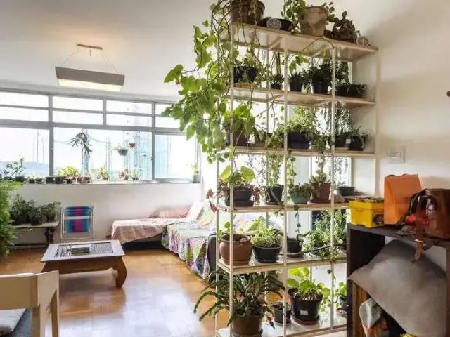 Apartamento para Venda em São Paulo/SP Bom Retiro 3 Quartos