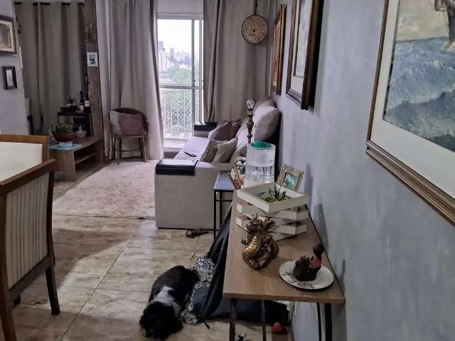 Apartamento para Venda em São Paulo/SP Cambuci 3 Quartos