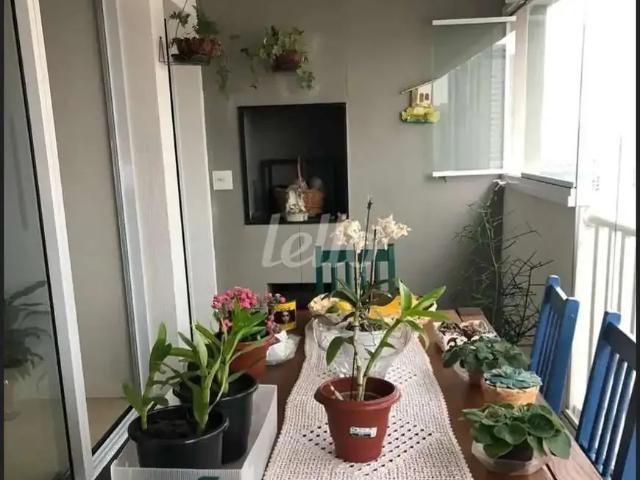 Apartamento para Venda em São Paulo/SP Cambuci 3 Quartos