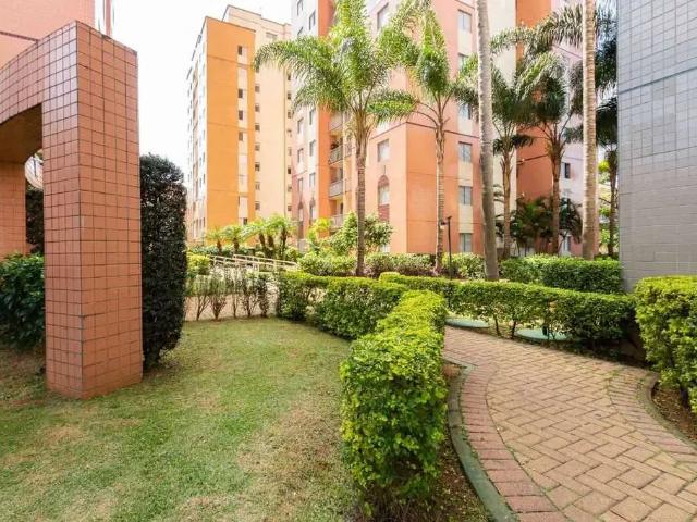 Apartamento para Venda em São Paulo/SP Cambuci 3 Quartos