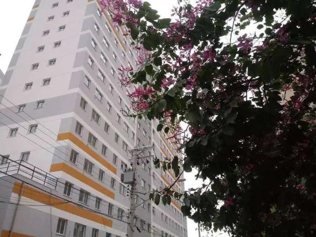 Apartamento para Venda em São Paulo/SP Cambuci 2 Quartos