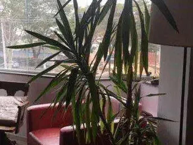 Apartamento para Venda em São Paulo/SP Campo Belo 4 Quartos