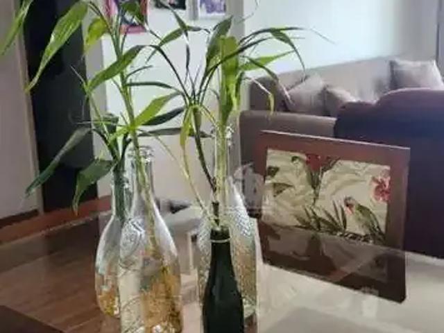 Apartamento para Venda em São Paulo/SP Casa Verde 1 Quartos