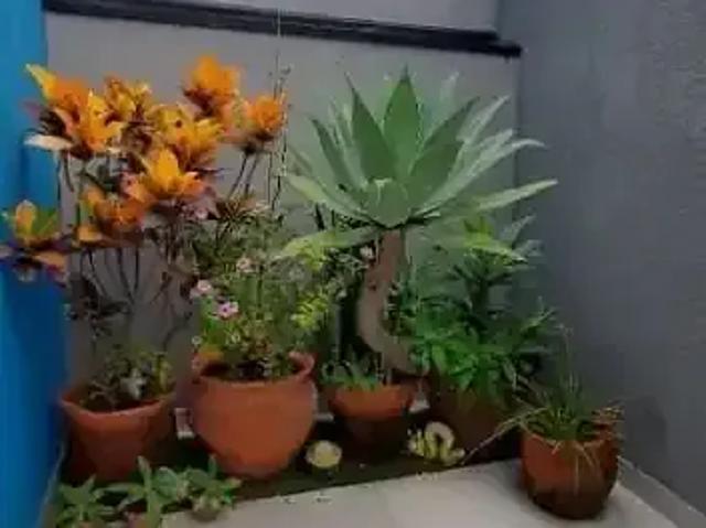 Apartamento para Venda em São Paulo/SP Chácara Belenzinho 1 Quartos