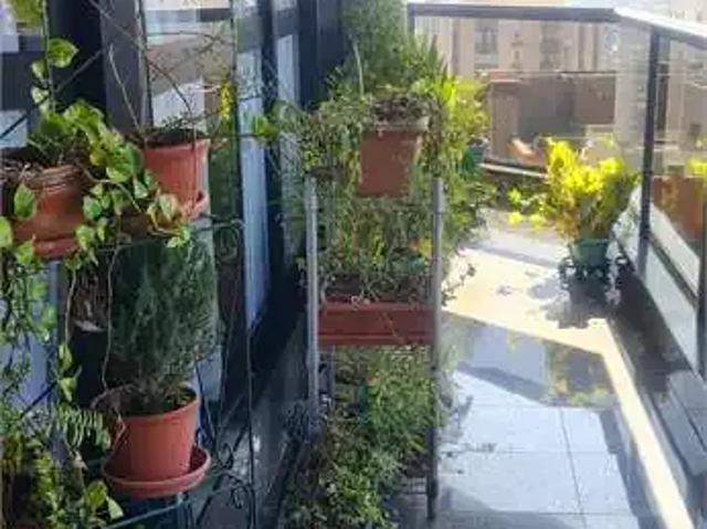 Apartamento para Venda em São Paulo/SP Chácara Klabin 3 Quartos