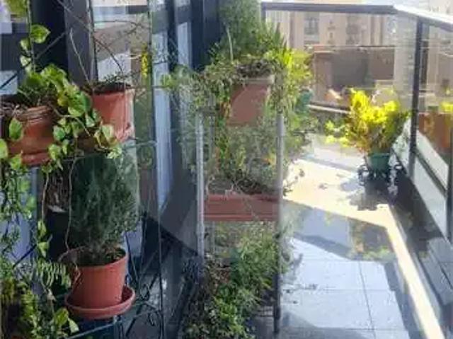 Apartamento para Venda em São Paulo/SP Chácara Klabin 3 Quartos