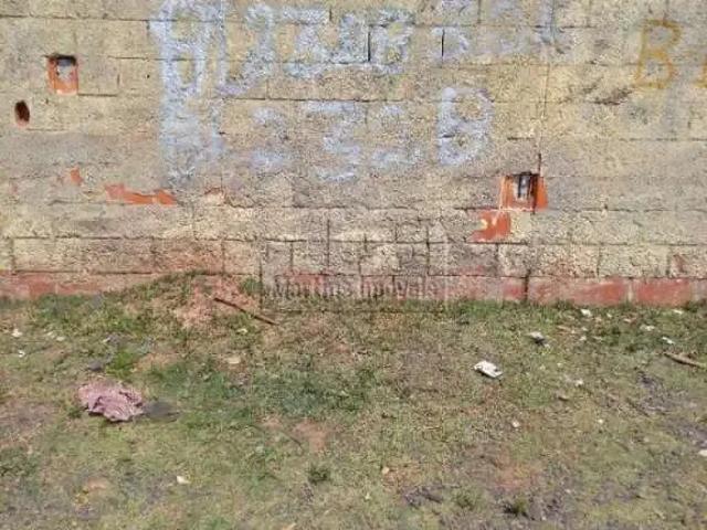 Apartamento para Venda em São Paulo/SP Colônia Zona Leste 2 Quartos