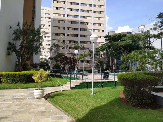 Apartamento para Venda em São Paulo/SP Granja Julieta 3 Quartos