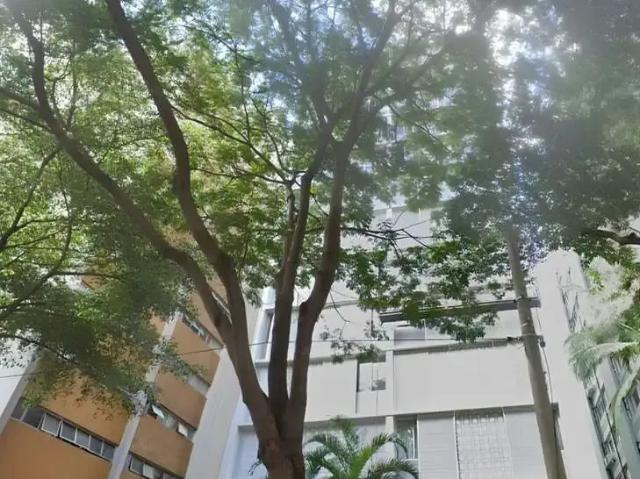 Apartamento para Venda em São Paulo/SP Higienópolis 2 Quartos