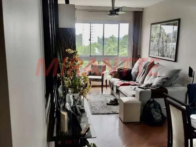 Apartamento para Venda em São Paulo/SP Horto Florestal 3 Quartos