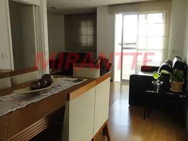Apartamento para Venda em São Paulo/SP Horto Florestal 3 Quartos