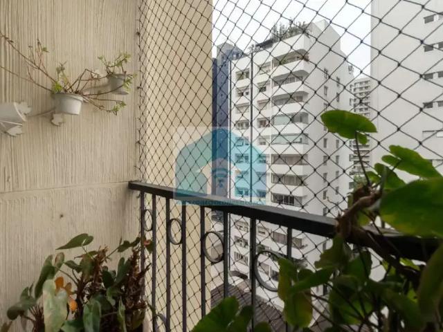 Apartamento para Venda em São Paulo/SP Indianópolis 3 Quartos
