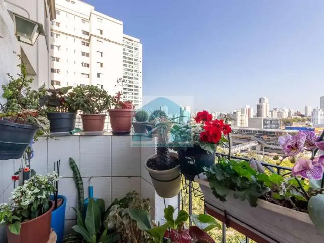 Apartamento para Venda em São Paulo/SP Jardim Aeroporto 3 Quartos