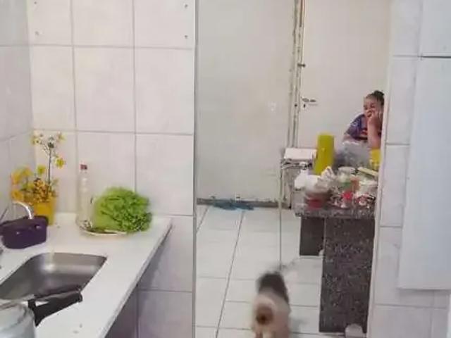 Apartamento para Venda em São Paulo/SP Jardim Apura 2 Quartos