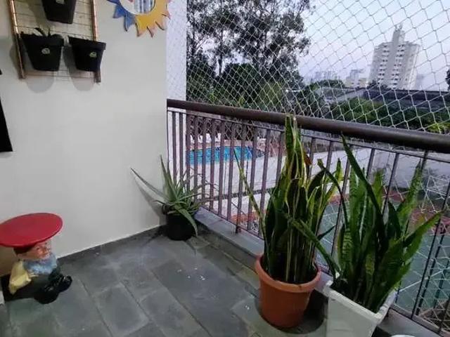 Apartamento para Venda em São Paulo/SP Jardim Bonfiglioli 3 Quartos