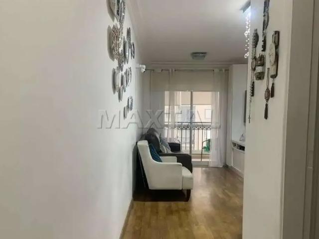 Apartamento para Venda em São Paulo/SP Jardim Japão 3 Quartos