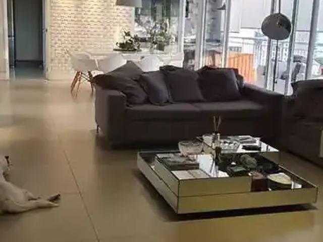 Apartamento para Venda em São Paulo/SP Jardim Monte Kemel 3 Quartos