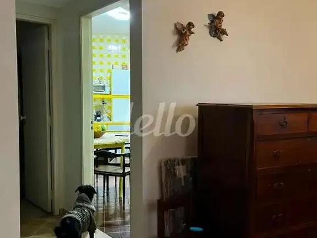 Apartamento para Venda em São Paulo/SP Jardim Paulistano 3 Quartos