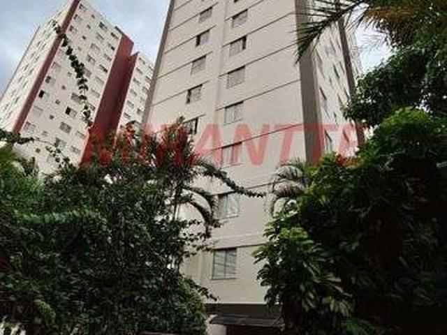 Apartamento para Venda em São Paulo/SP Jardim Peri 2 Quartos