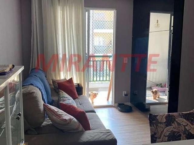 Apartamento para Venda em São Paulo/SP Jardim Peri 2 Quartos