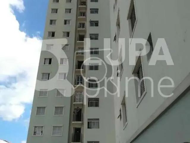 Apartamento para Venda em São Paulo/SP Jardim São Paulo Zona Norte 3 Quartos