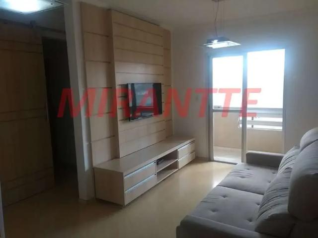 Apartamento para Venda em São Paulo/SP Parada Inglesa 3 Quartos