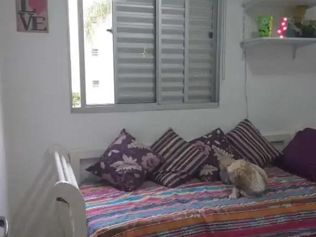 Apartamento para Venda em São Paulo/SP Paraisópolis 3 Quartos