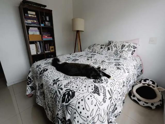 Apartamento para Venda em São Paulo/SP Pinheiros 2 Quartos