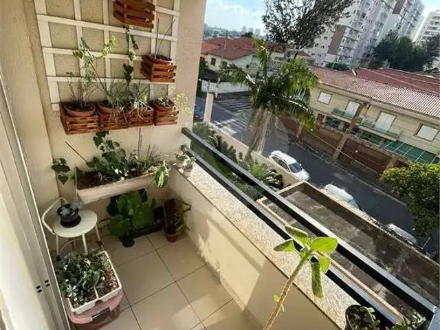 Apartamento para Venda em São Paulo/SP Pirituba 3 Quartos