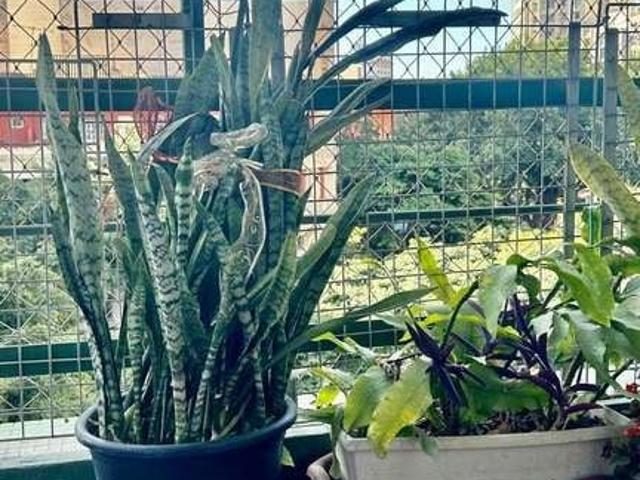 Apartamento para Venda em São Paulo/SP República 1 Quartos