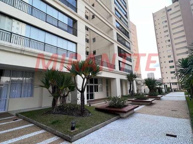 Apartamento para Venda em São Paulo/SP Santa Teresinha 3 Quartos