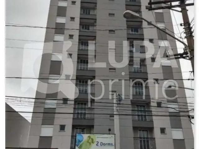 Apartamento para Venda em São Paulo/SP Vila Constança 2 Quartos
