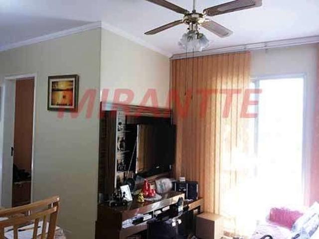 Apartamento para Venda em São Paulo/SP Vila Amália 2 Quartos