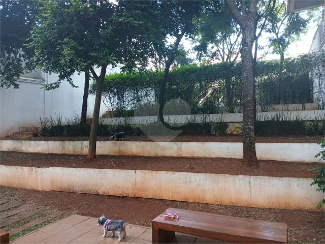 Apartamento para Venda em São Paulo/SP Vila Anglo Brasileira 2 Quartos