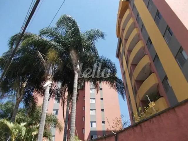 Apartamento para Venda em São Paulo/SP Vila Aurora Zona Norte 3 Quartos