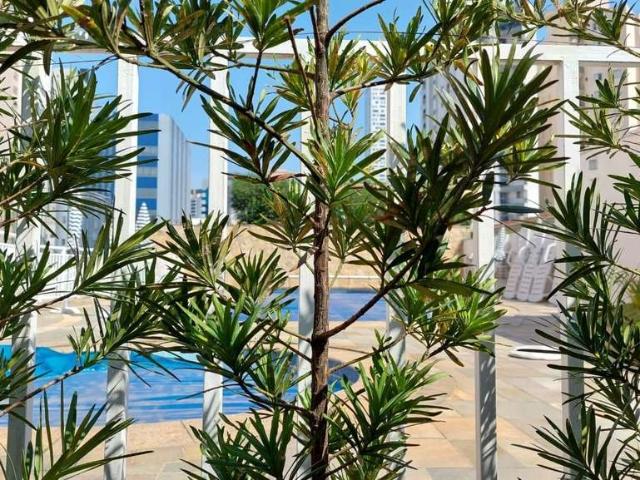 Apartamento para Venda em São Paulo/SP Vila Azevedo 2 Quartos