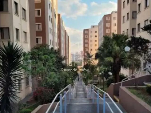 Apartamento para Venda em São Paulo/SP Vila Bancaria 3 Quartos