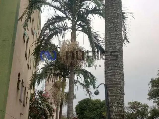 Apartamento para Venda em São Paulo/SP Vila Bela Vista Zona Norte 2 Quartos