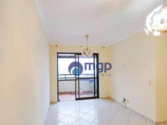 Apartamento para Venda em São Paulo/SP Vila Gomes Cardim 3 Quartos