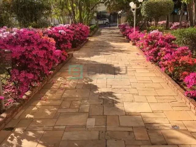 Apartamento para Venda em São Paulo/SP Vila Granada 3 Quartos