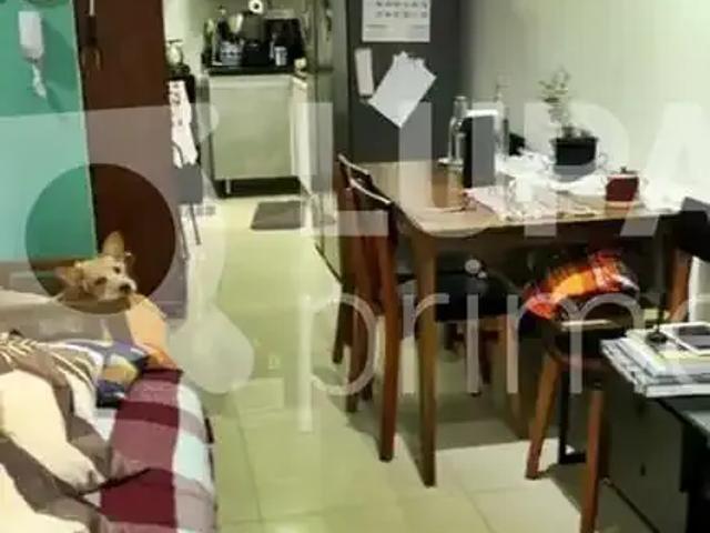 Apartamento para Venda em São Paulo/SP Vila Guilherme 2 Quartos