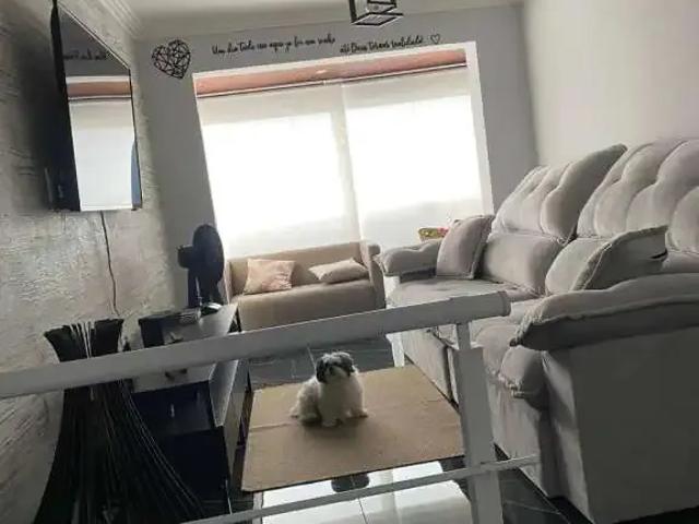 Apartamento para Venda em São Paulo/SP Vila Formosa 3 Quartos