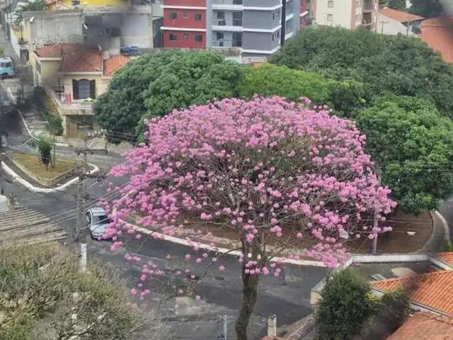 Apartamento para Venda em São Paulo/SP Vila Formosa 3 Quartos
